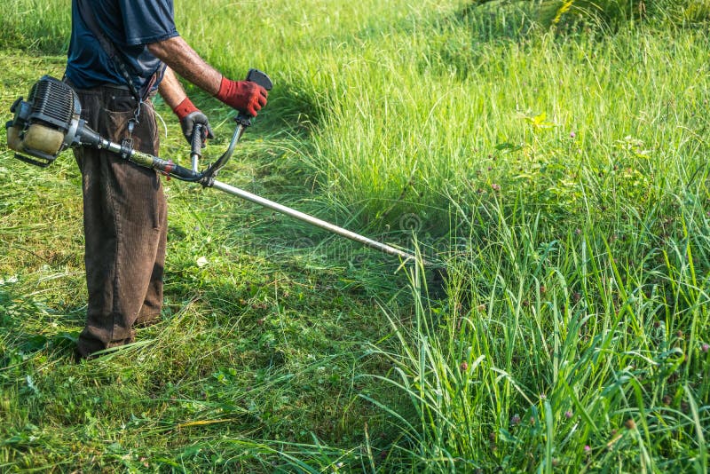 The Gardener Cutting Grass by Lawn Mower Stock Photo - Image of motor ...