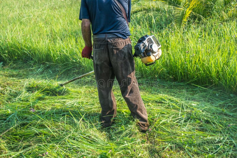 The Gardener Cutting Grass by Lawn Mower Stock Image - Image of long ...