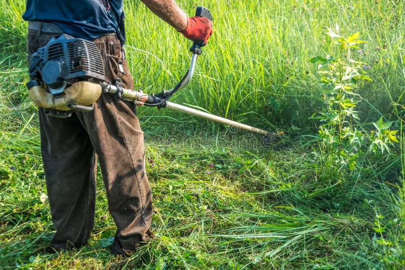 The Gardener Cutting Grass by Lawn Mower Stock Image - Image of ...