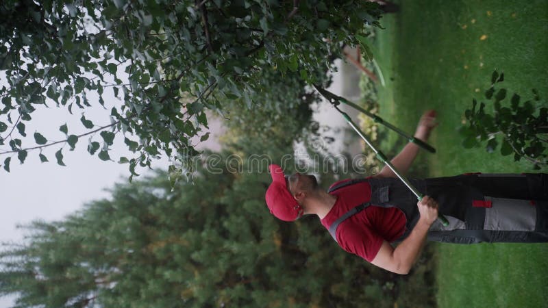 Gardener Cutting Tree Branches with Telescopic Lopper Stock Video ...