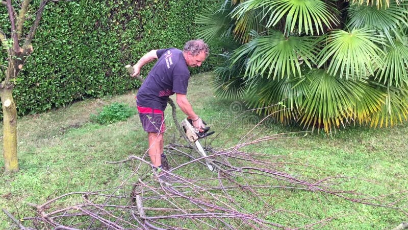 Cutting a Cut Tree Trunk into Boards Stock Video - Video of tree, steel ...