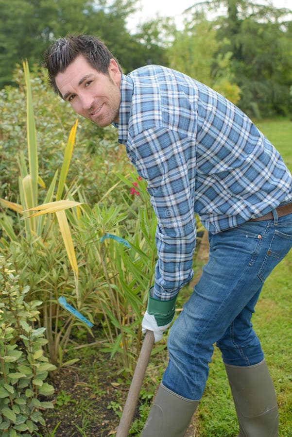 Gardener Digging the Earth Over with a Garden Fork To Cultivate the ...