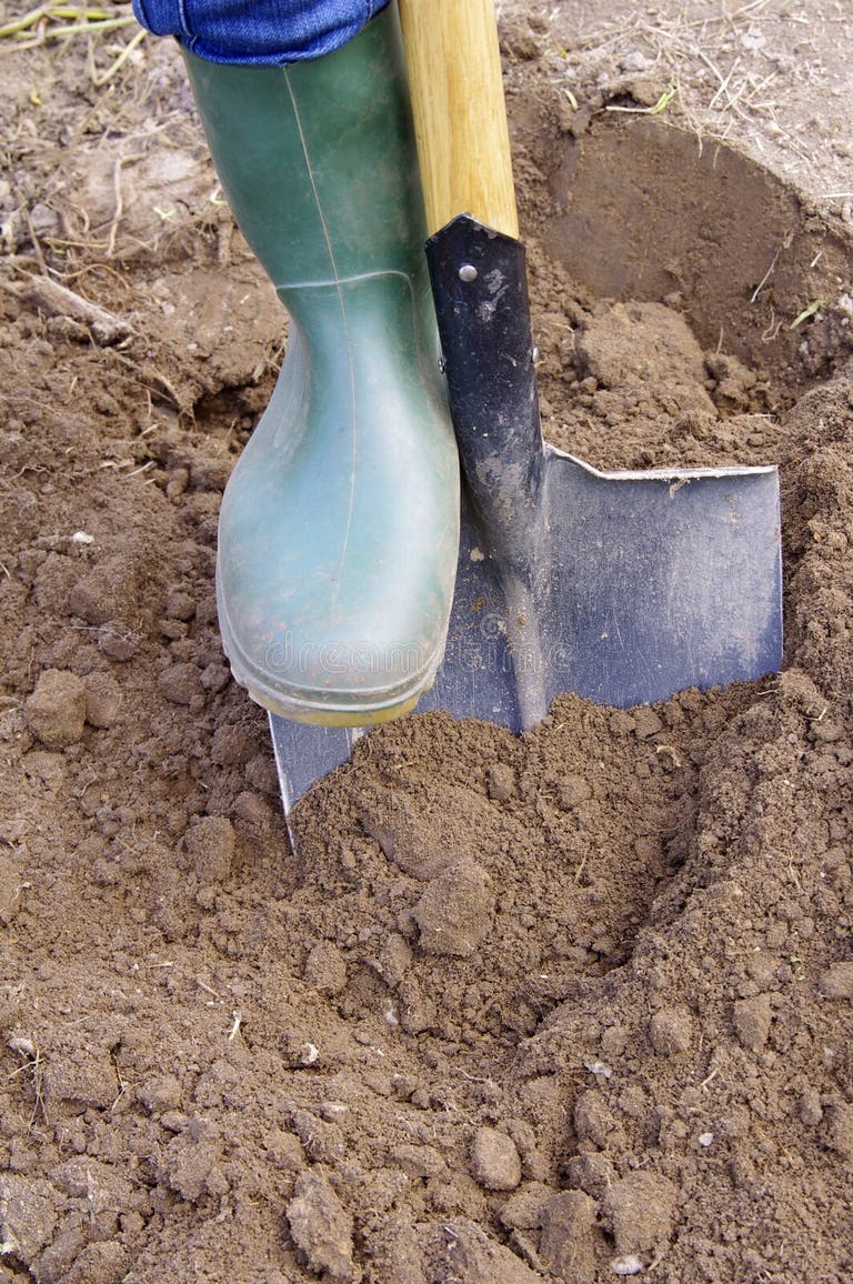 7,238 Digging Spade Stock Photos - Free & Royalty-Free Stock Photos ...