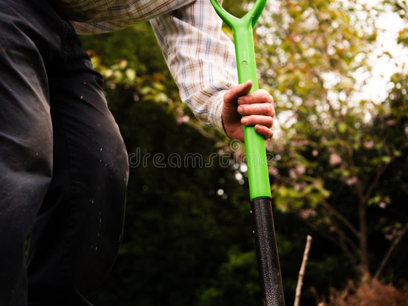 Gardener Digging Garden with Spade Medium Stock Photo - Image of ...