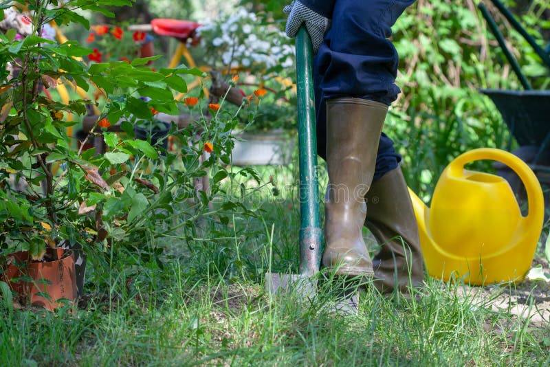 Digging garden with spade stock image. Image of leaves - 117403365