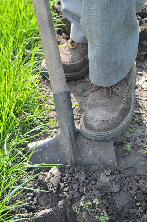 Gardener digging up stock image. Image of boot, gardening - 14166169