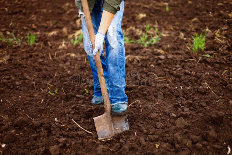 Gardener. stock image. Image of young, spring, activity - 54666607