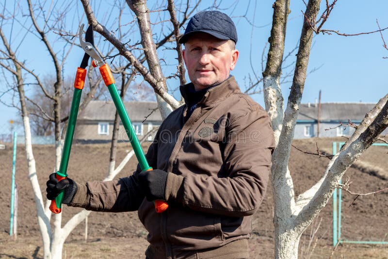 Gardener in Garden with Big Scissors for Cutting Tree Branches Stock ...