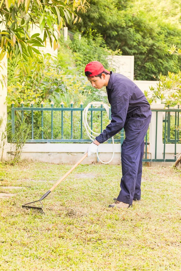 Gardener with Garden Tools at Work Stock Image - Image of nature ...