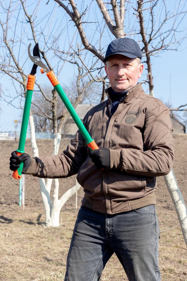 The Gardener Holds in His Hands Large Scissors for Cutting Tree ...