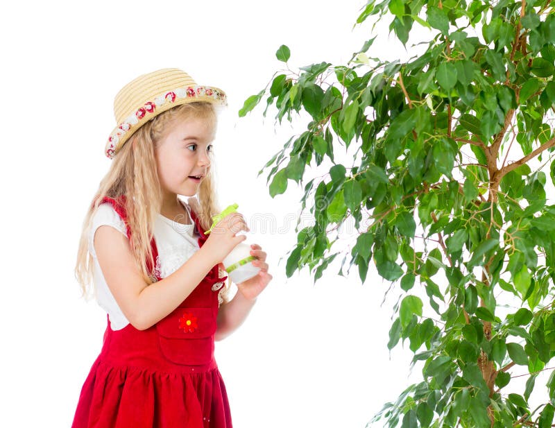 Gardener kid watering tree stock image. Image of baby - 34562321