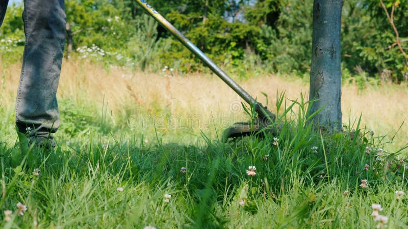 Gardener Mows Grass Around Tree Trunks Stock Video - Video of summer ...
