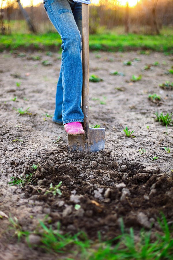 Gardener. stock image. Image of digging, country, spring - 53792289