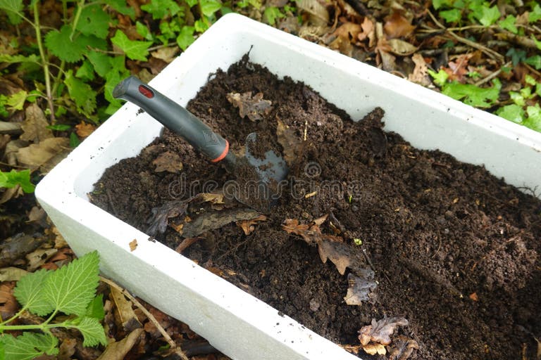 Gardener Preparing Potting Compost with Leaf Mold in Polystyrene Box ...