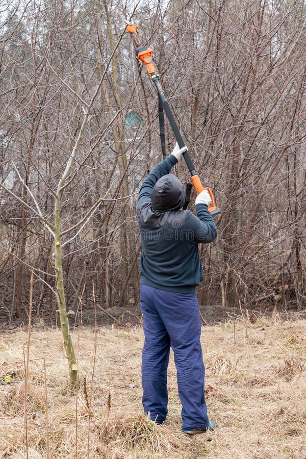 Long Reach Cut Pruner Stock Photos - Free & Royalty-Free Stock Photos ...