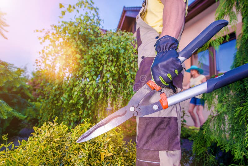 Gardener Ready for Garden Work Stock Photo - Image of smiling ...