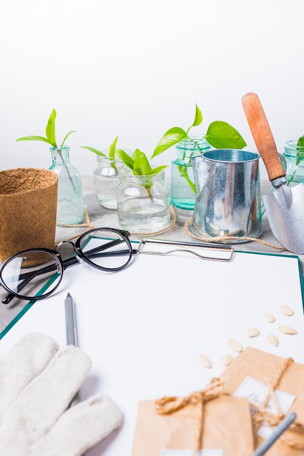 Gardener`s Desk with Garden Tools, Seeds and Tablet Stock Image - Image ...