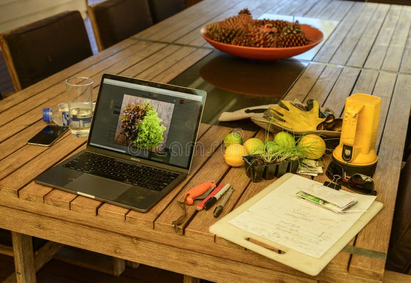 Gardener`s Office editorial image. Image of gloves, glass - 178290645
