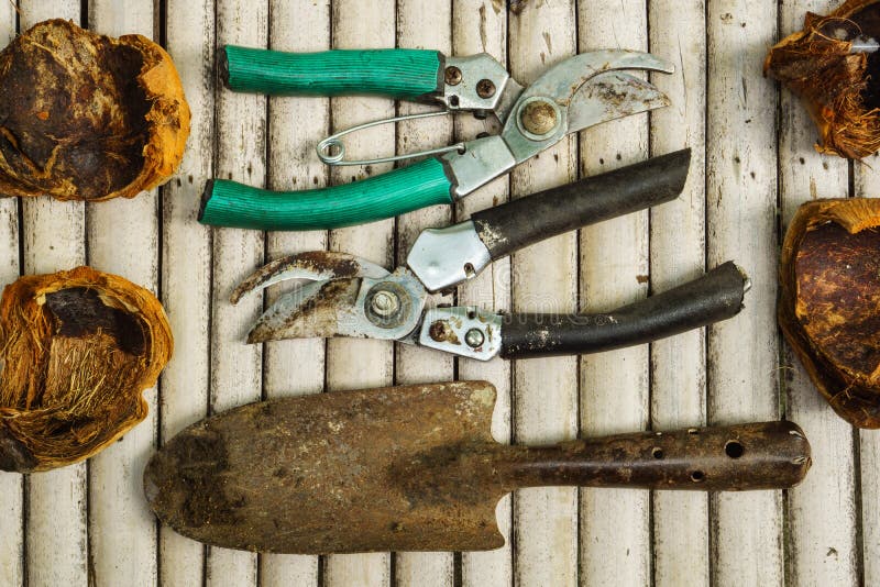 Gardener S Tools on Bamboo Floor Stock Image - Image of coconut, lawn ...