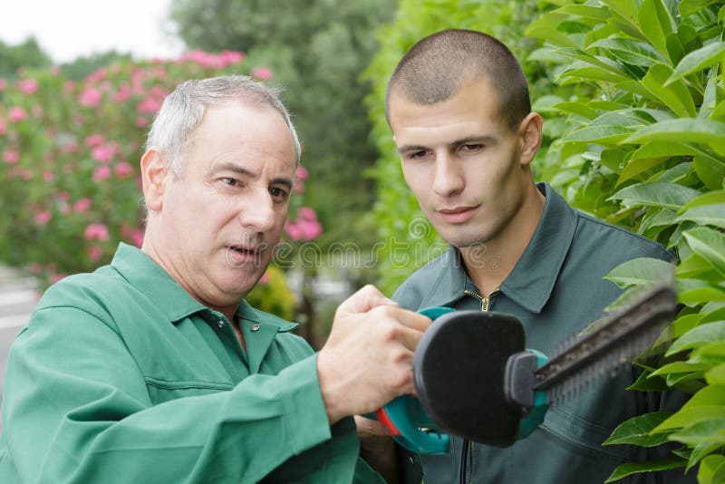 Gardener Showing Demonstration To Apprentice Stock Photo - Image of ...