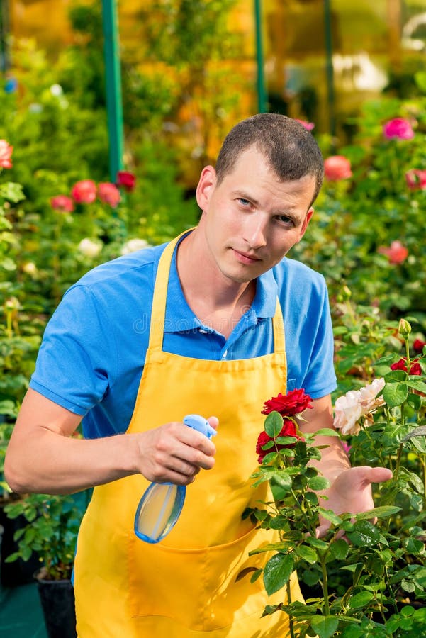 Gardener Sprinkles Young Apple Tree From Pests And Diseases With Stock