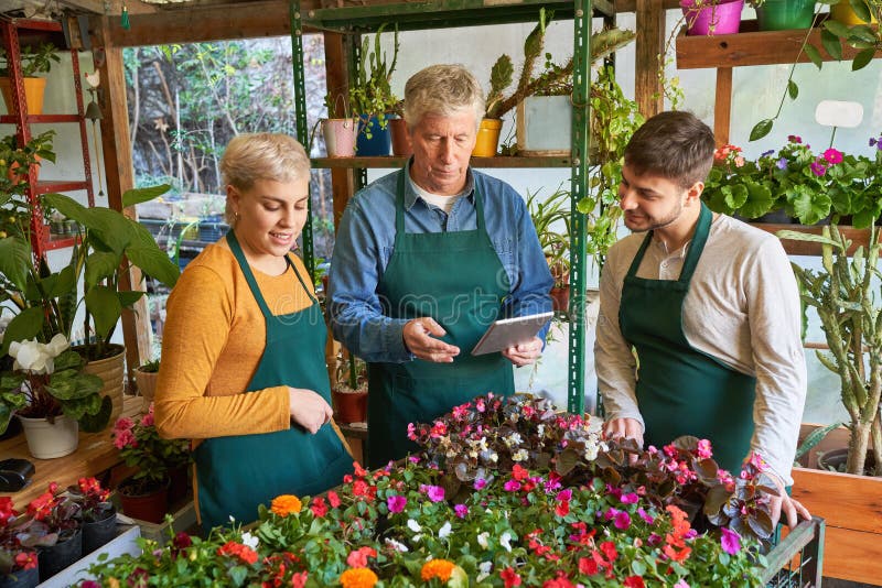 Gardener Team with Owner and Trainees Take Inventory Stock Image ...