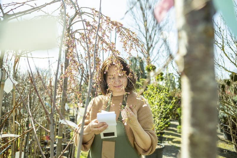 Gardener in the Tree Nursery Stock Photo - Image of control, cultivate ...