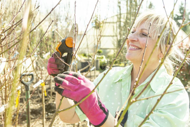 Gardener in the Tree Nursery Stock Photo - Image of home, improvement ...