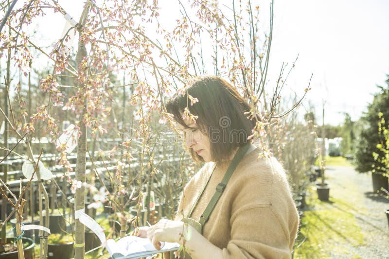 Gardener in the Tree Nursery Stock Image - Image of nature, center ...