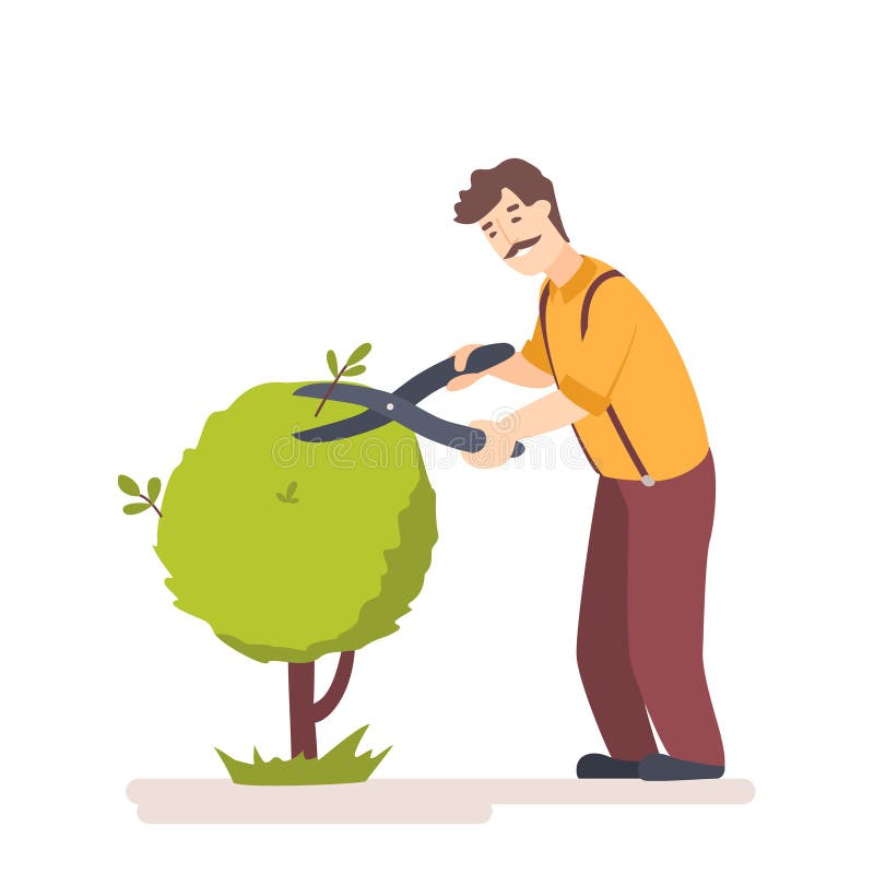 Gardener Trim Trees in Garden. Worker Cut Hedge Stock Vector ...