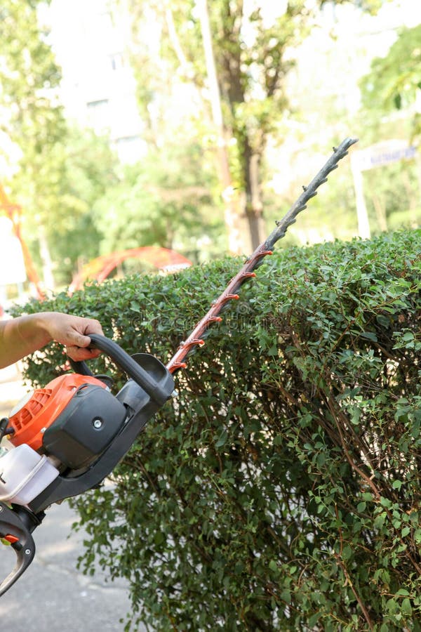 Gardener Trims a Bush with a Brush Cutter Stock Image - Image of ...