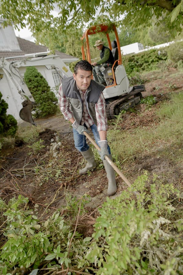 Gardener using a rake stock photo. Image of earth, growth - 115614880