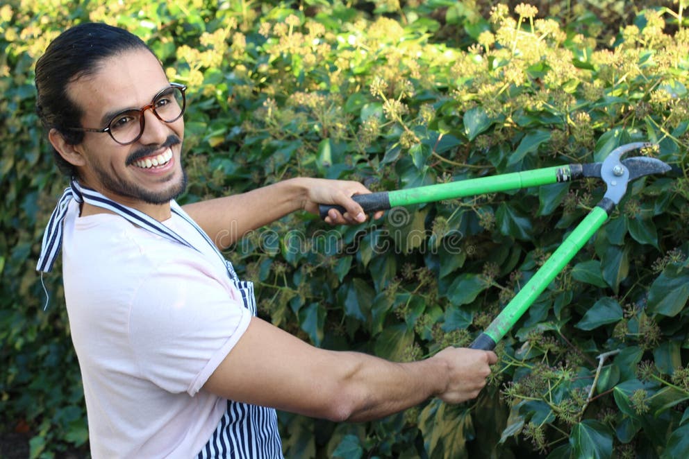 Gardener Using Scissors To Trim a Bush Stock Image - Image of exterior ...