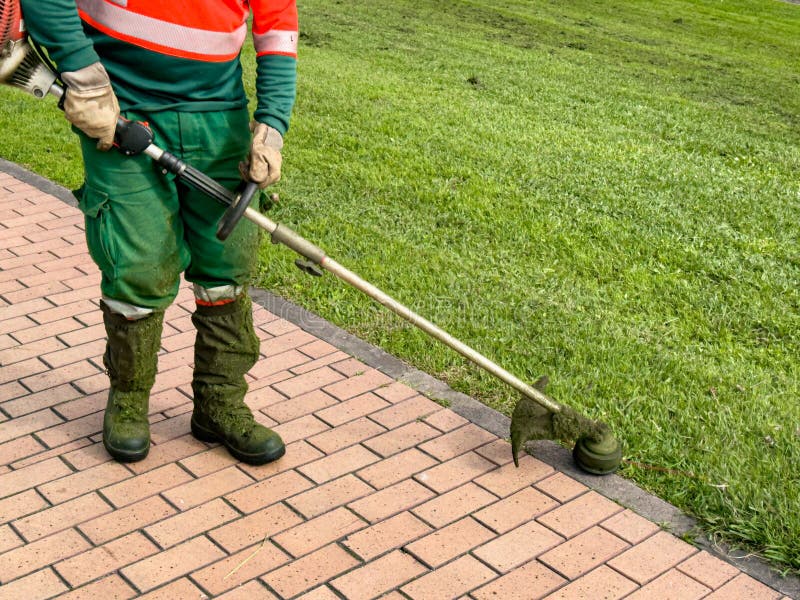 Gardener Using Trimmer To Maintain Lawn Edge Near Brick Pathway Stock ...
