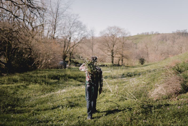 Gardener Walking in a Forest with a Bunch of Flowering Branches Stock ...