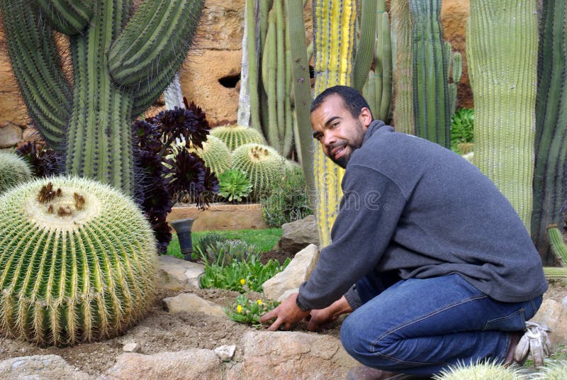 Gardener at work stock photo. Image of summer, professional - 17216204