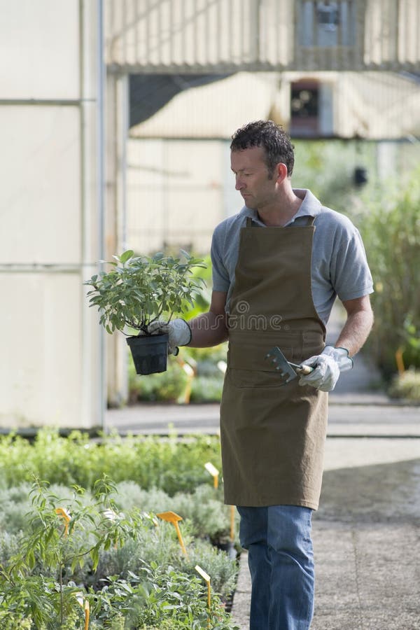 Gardener at work stock photo. Image of summer, professional - 17216204