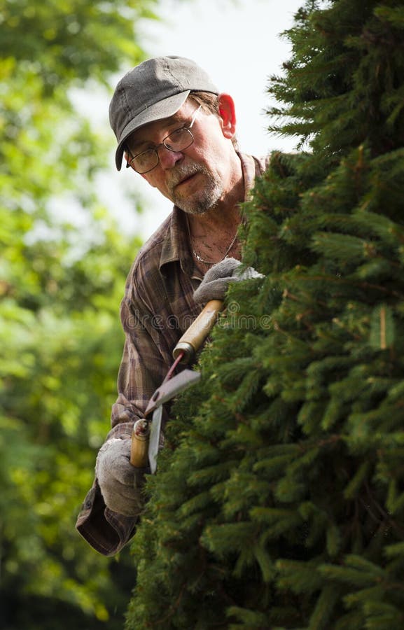 Gardener during work stock image. Image of blue, adult - 24443575