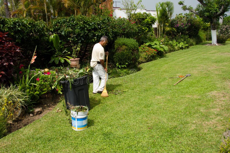Gardener mowing the lawn. stock photo. Image of lawnmower - 13034530