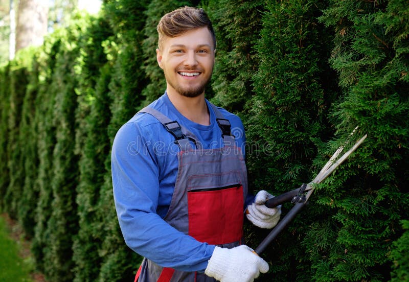 Gardener Working in a Garden Stock Image - Image of gardener, bush ...