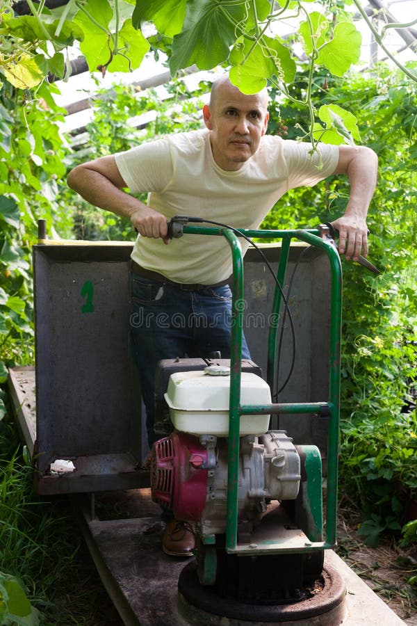 Gardener Working in Glasshouse Stock Photo - Image of engagement ...