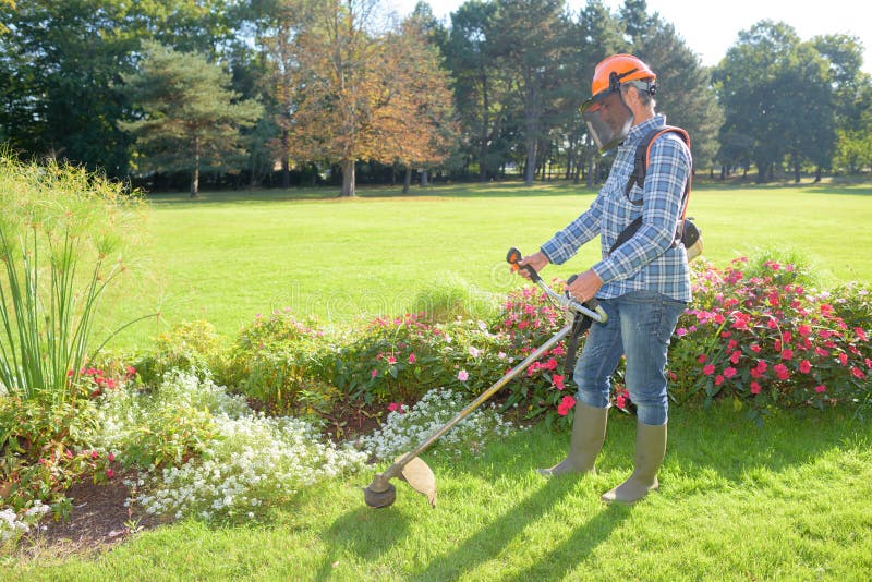Gardener Working on Grounds Stock Image - Image of garden, mulch: 83017175