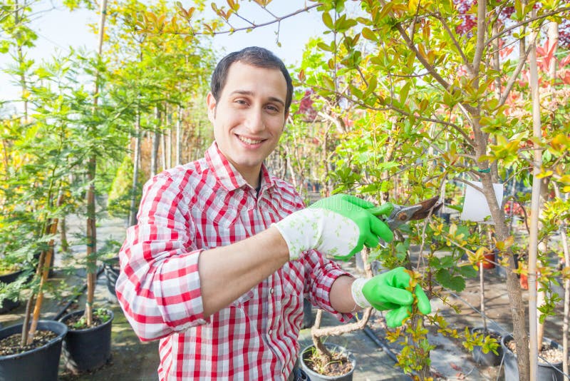 Gardener stock image. Image of woman, florist, white - 39874843
