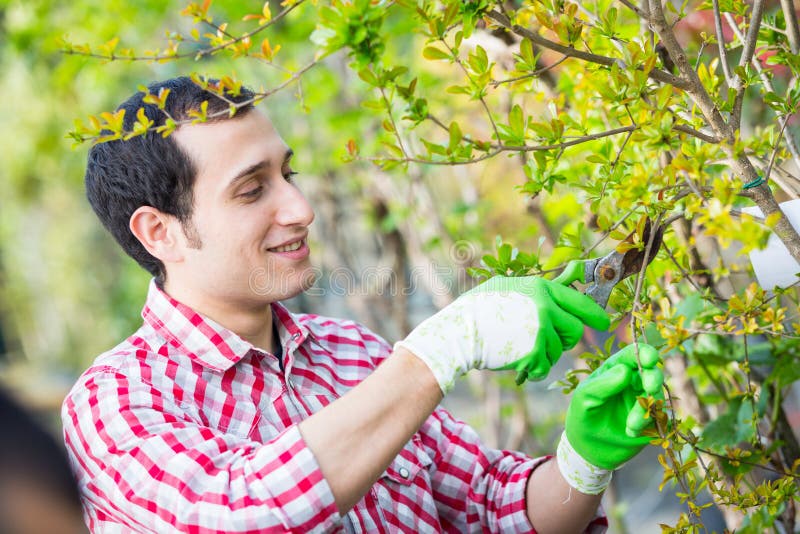 Gardener stock photo. Image of gardener, white, outside - 39875416