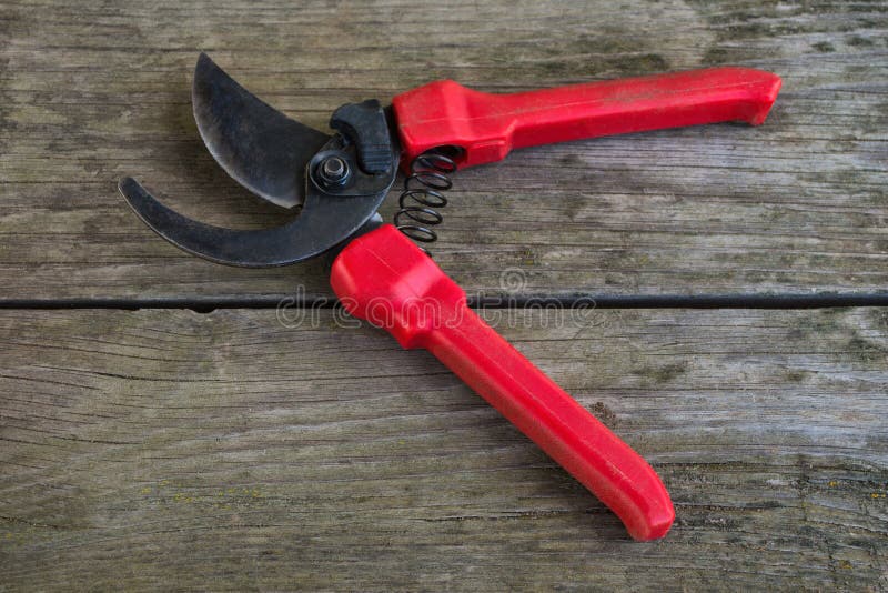 Gardeners Hand Tool - Red Pruner. Open Pruner Stock Photo - Image of ...
