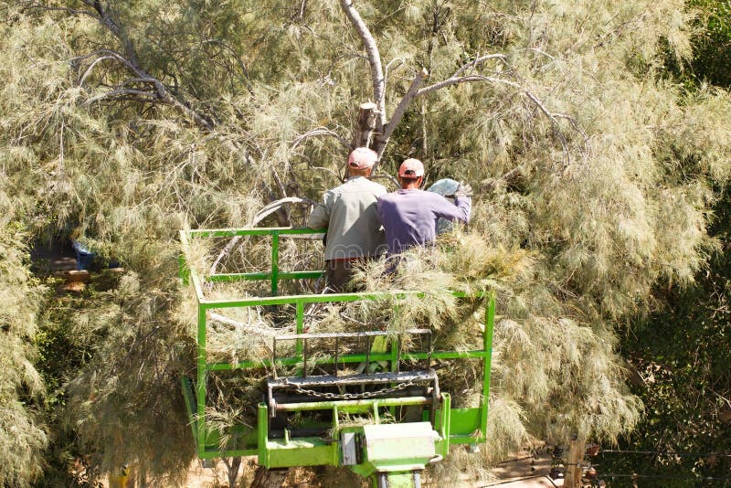Gardeners stock image. Image of lifter, equipment, capacity - 84576997
