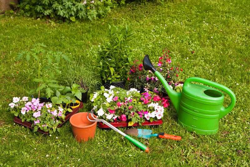 Gardening stock image. Image of working, flower, planting - 12625627