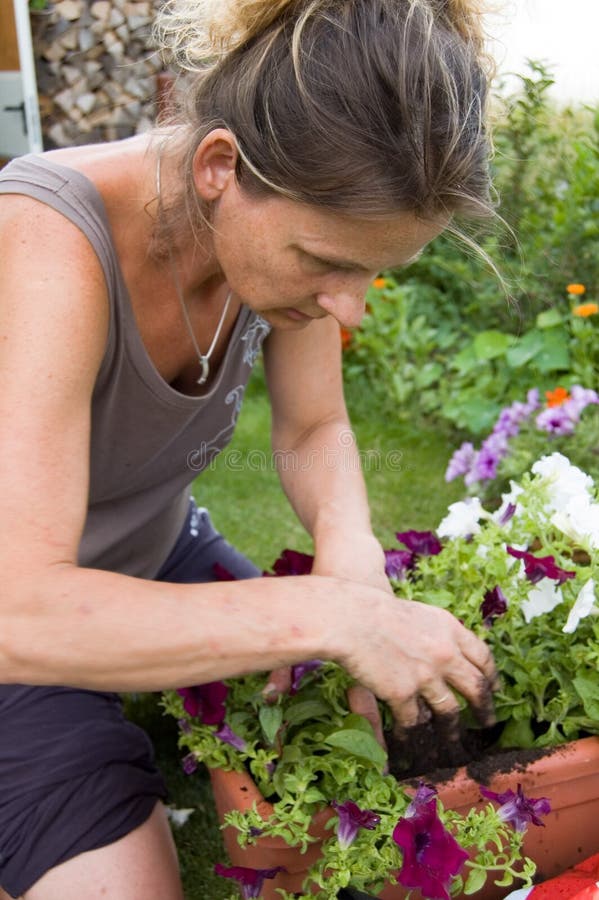 Couple Planting Plant in Garden Stock Image - Image of hobby, people ...