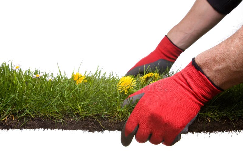 Garden Worker Dig Up Flower Bed Stock Image - Image of spring, women ...