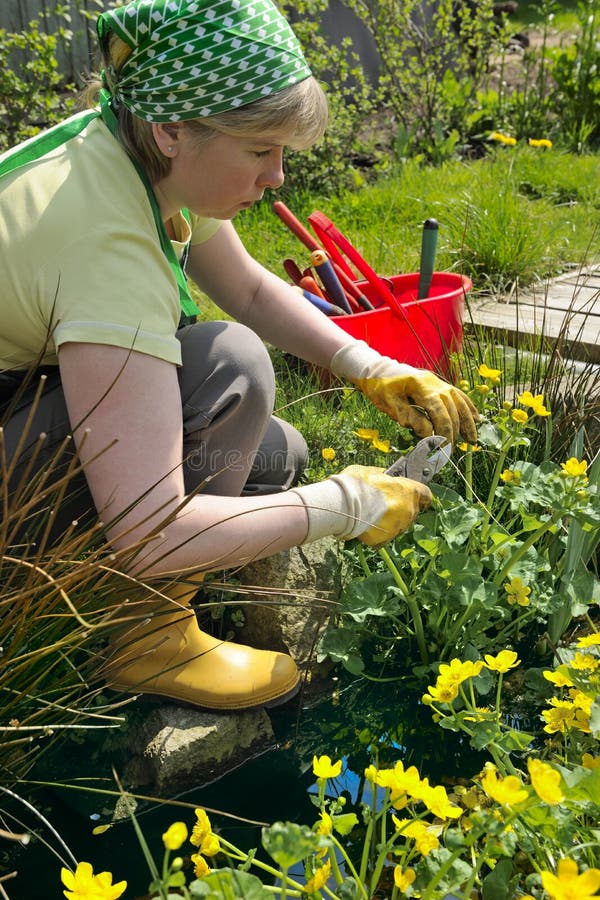 Cleaning garden stock photo. Image of yard, hands, fall - 8110528